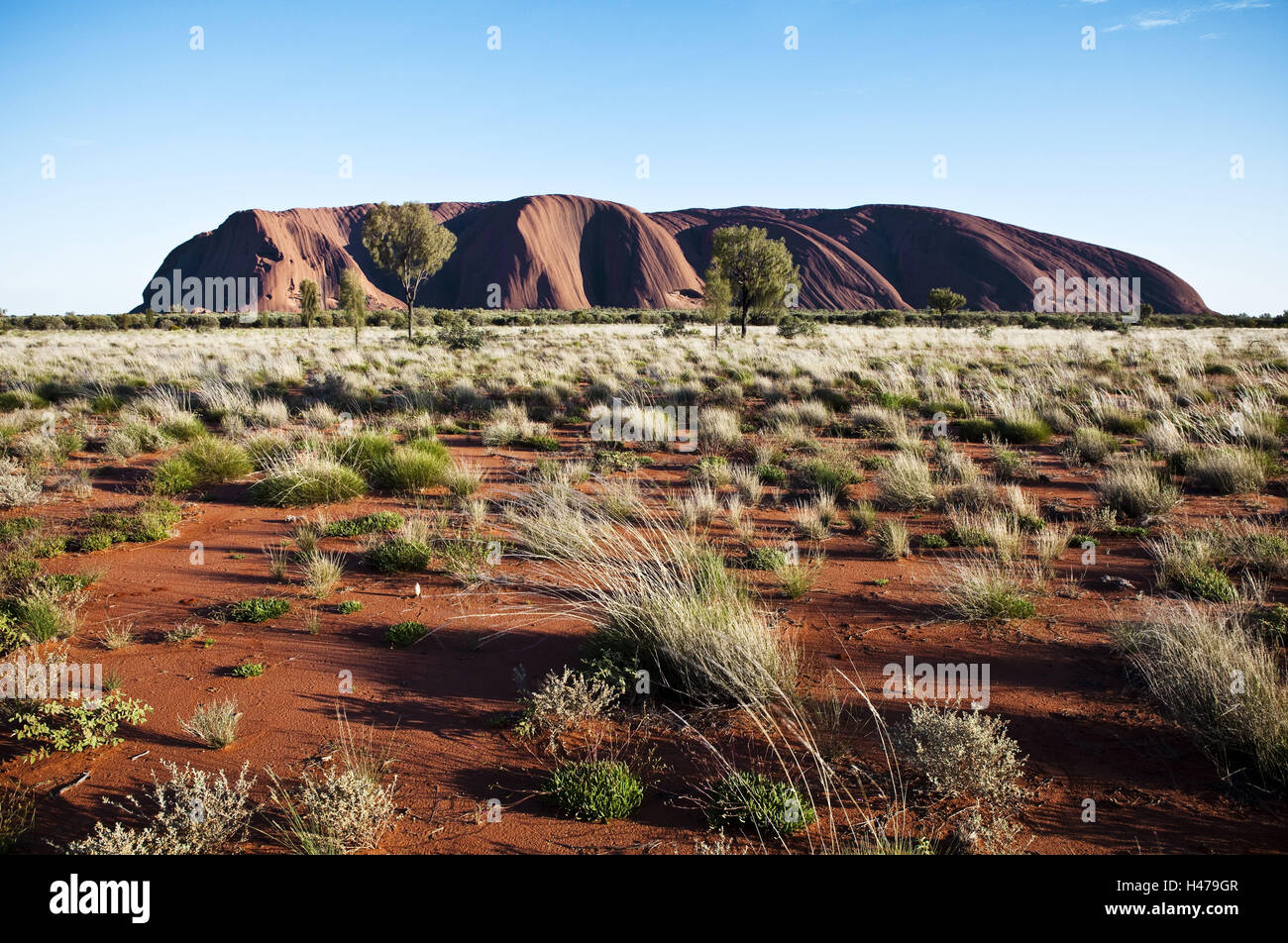 Australia, Northern Territory, outback, Uluru Stock Photo - Alamy