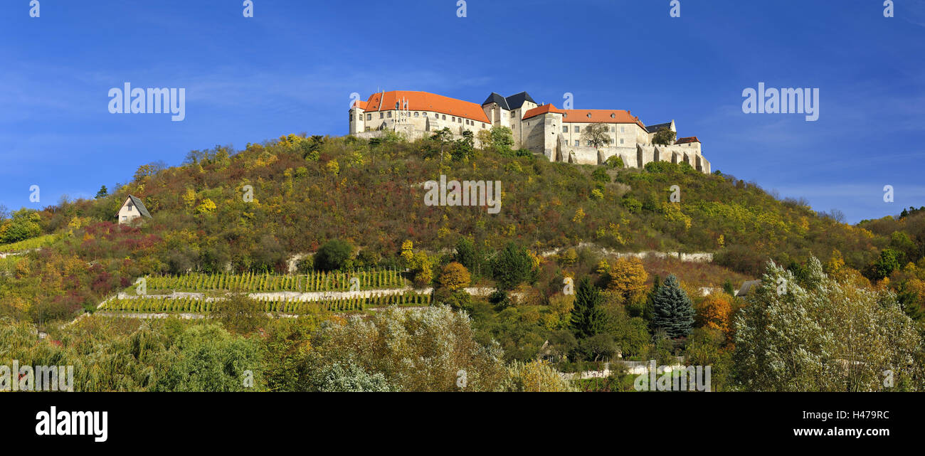 Frey hi-res stock photography and images - Alamy