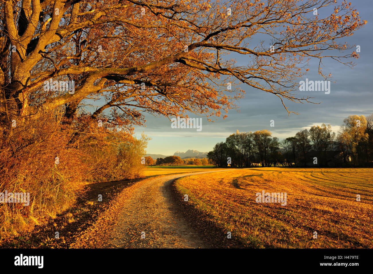 Germany, Bavaria, autumn evening with Seethal in Lake Chiem Stock Photo ...
