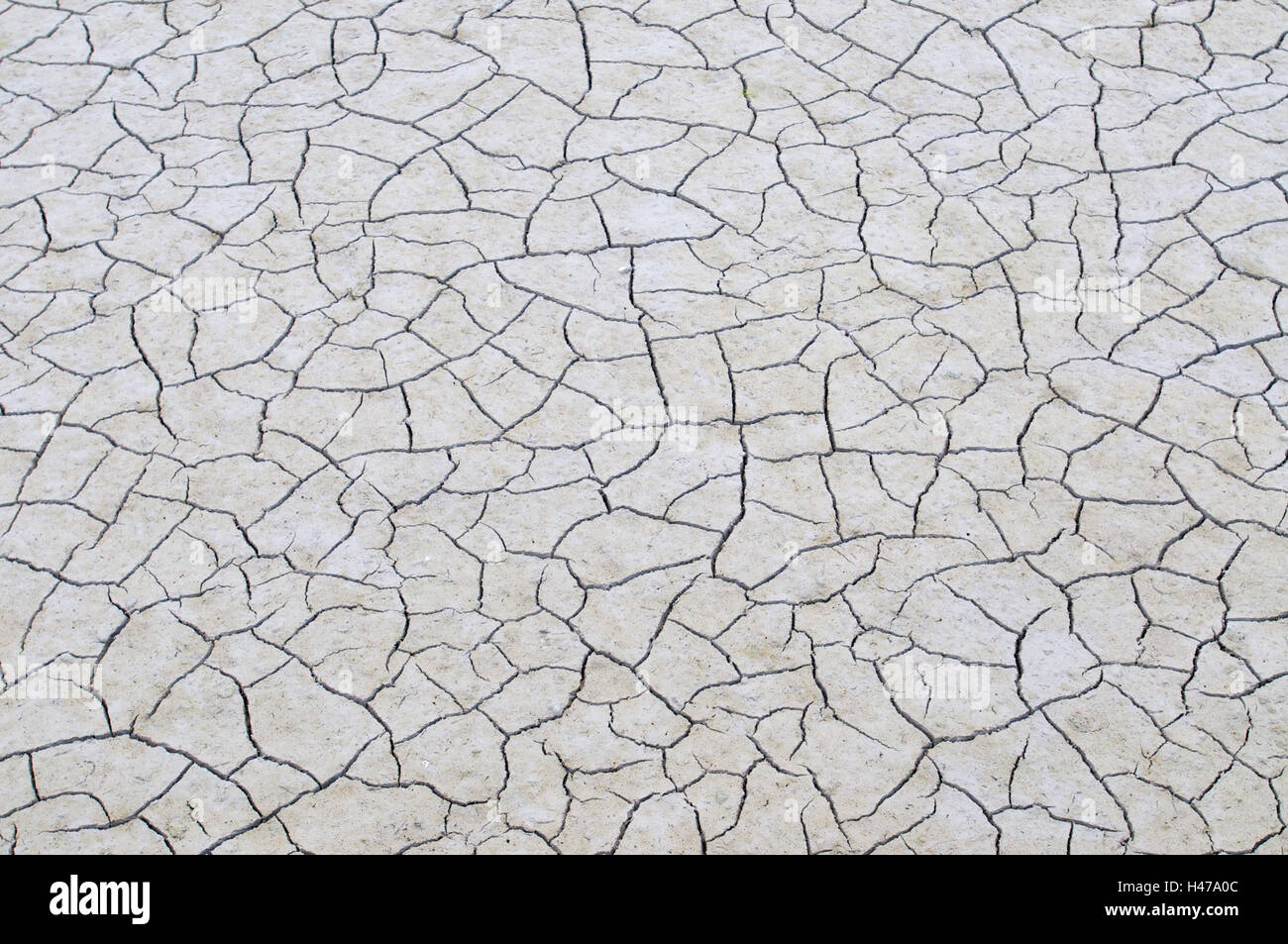 Parched soil hi-res stock photography and images - Alamy