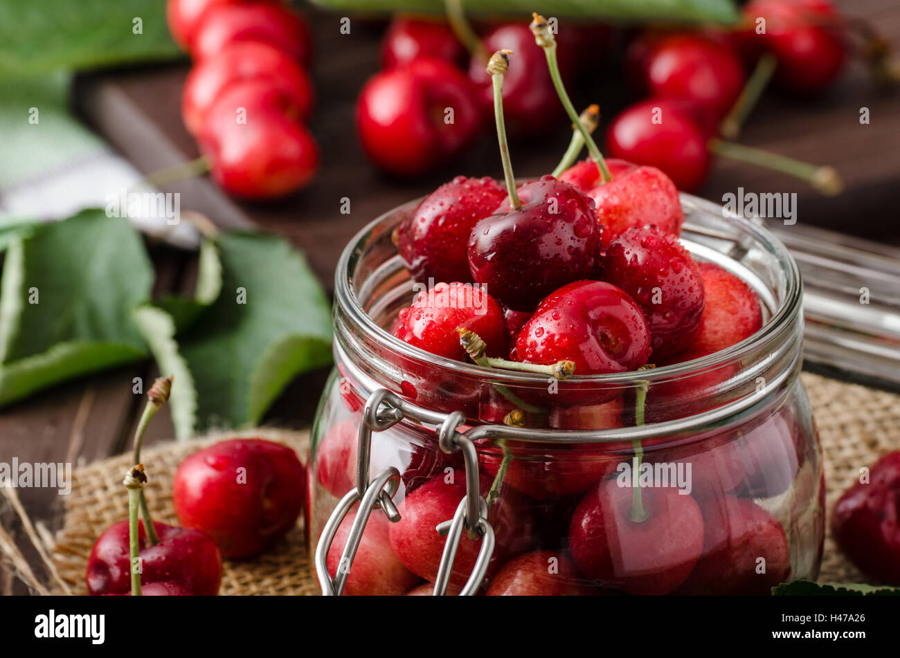 Freshly picked cherries, natural cultivation, bio quality Stock Photo ...