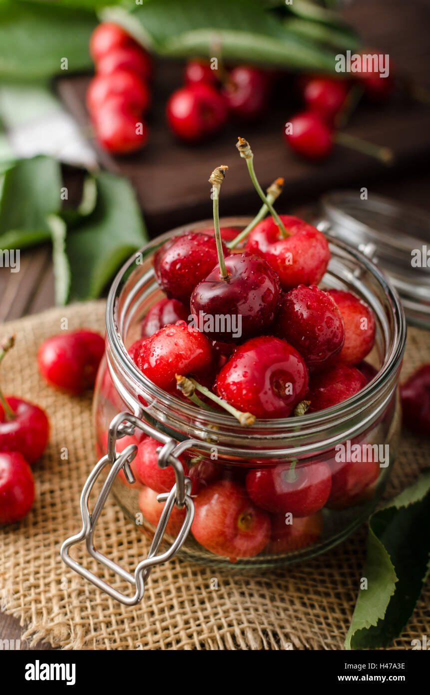 Freshly picked cherries, natural cultivation, bio quality Stock Photo ...