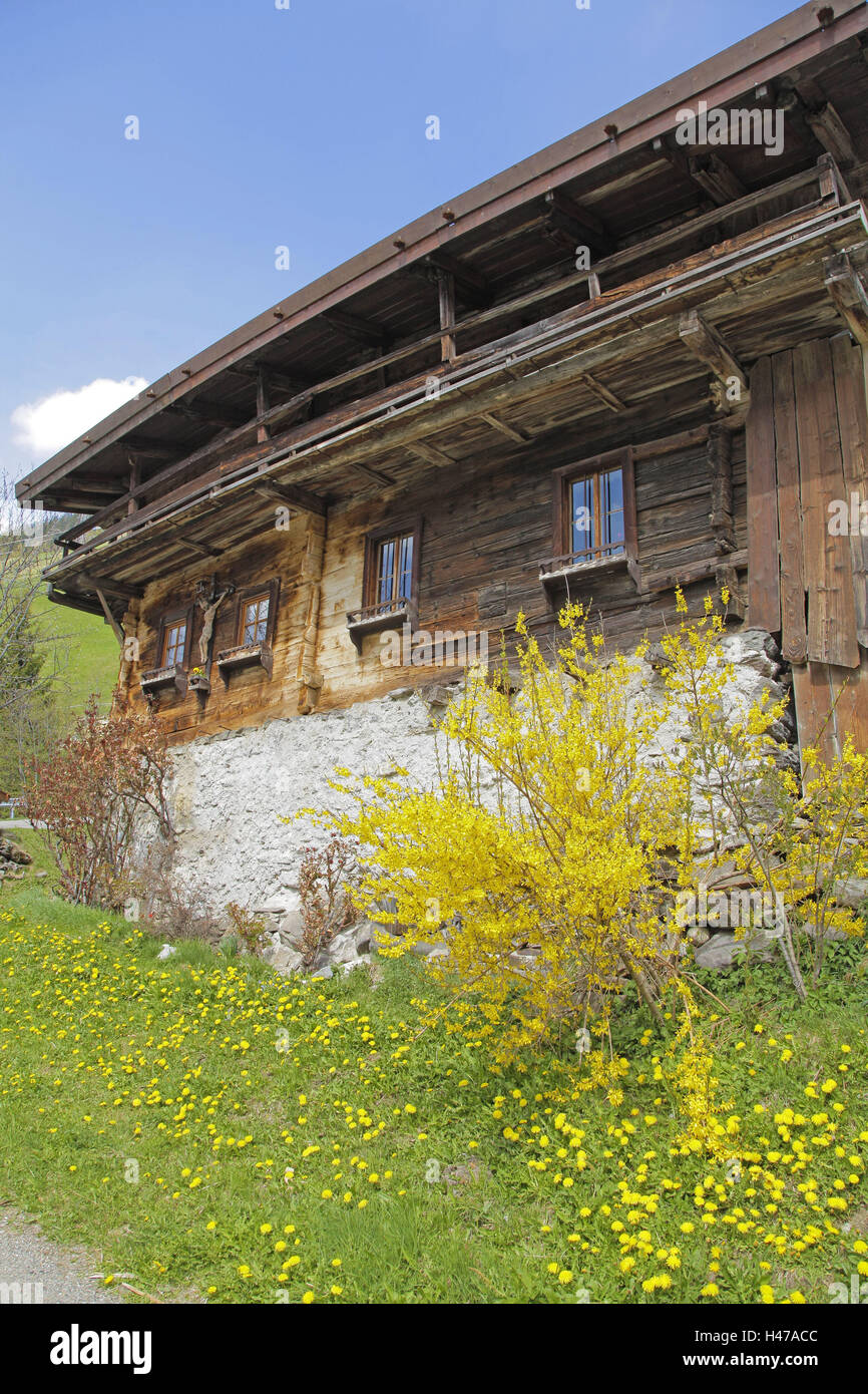 Italy, South Tyrol, farmhouse, facade, house cross, Busch, yellow, pass ...