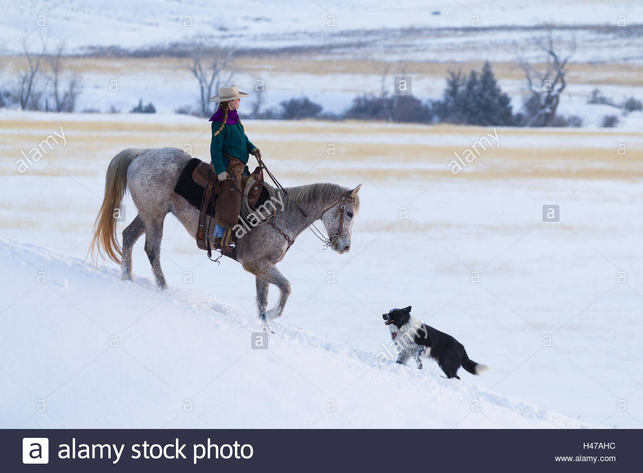 Australian Cowgirl Stock Photos & Australian Cowgirl Stock Images - Alamy