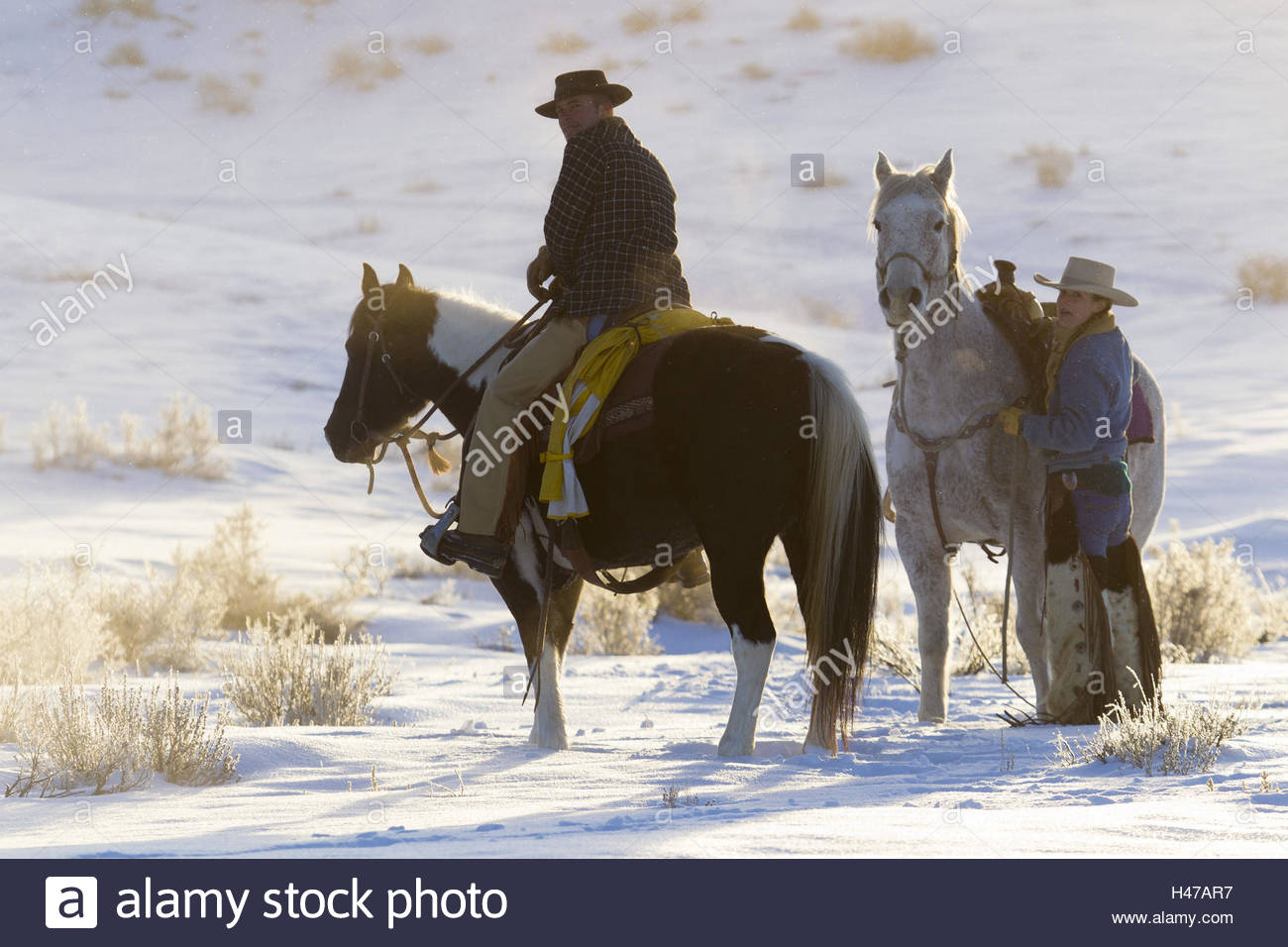 Cowboys Riding Horses In Snow High Resolution Stock Photography and ...