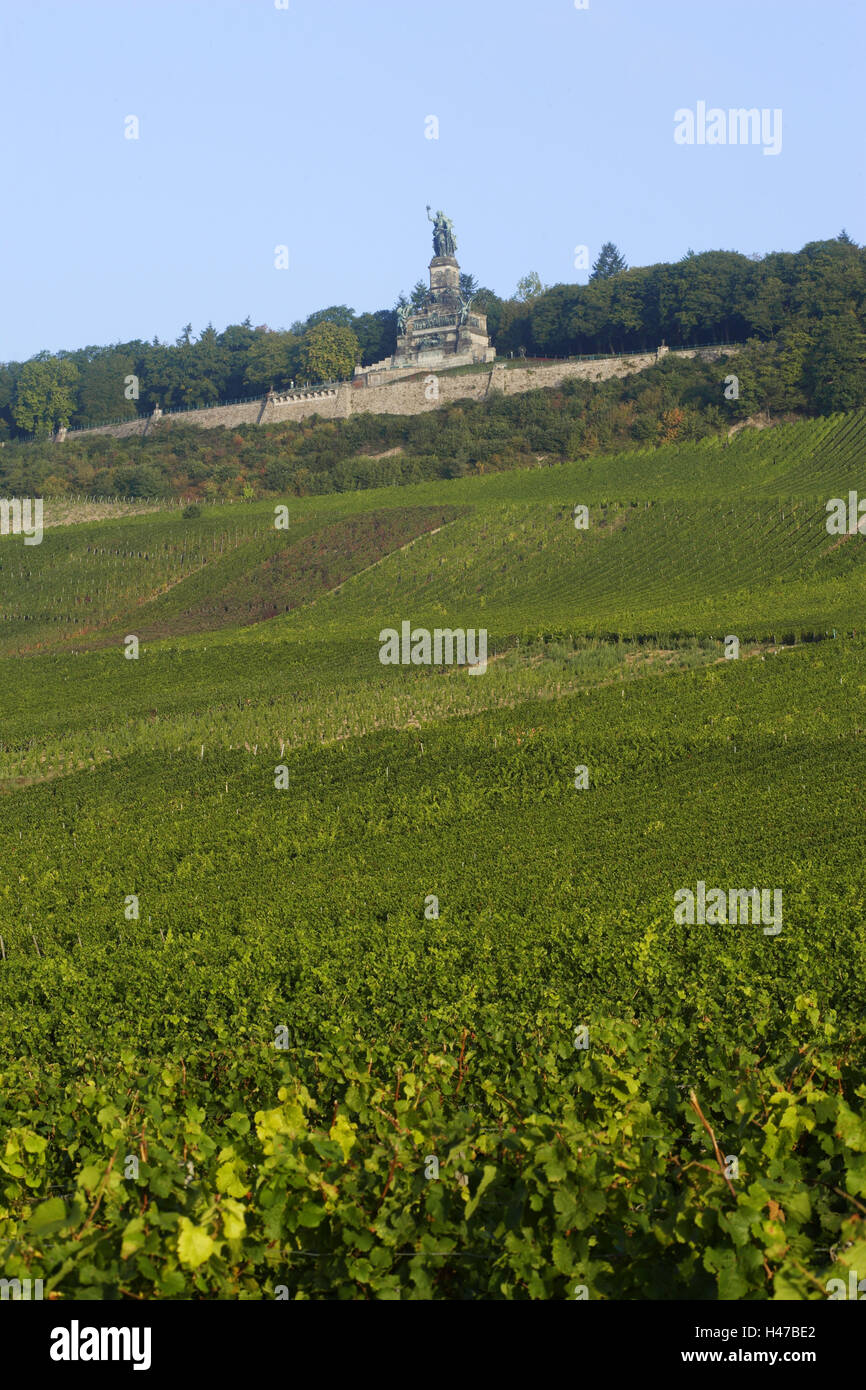 Copse monument, upper Middle Rhine valley, rough home, Hessen, Germany ...