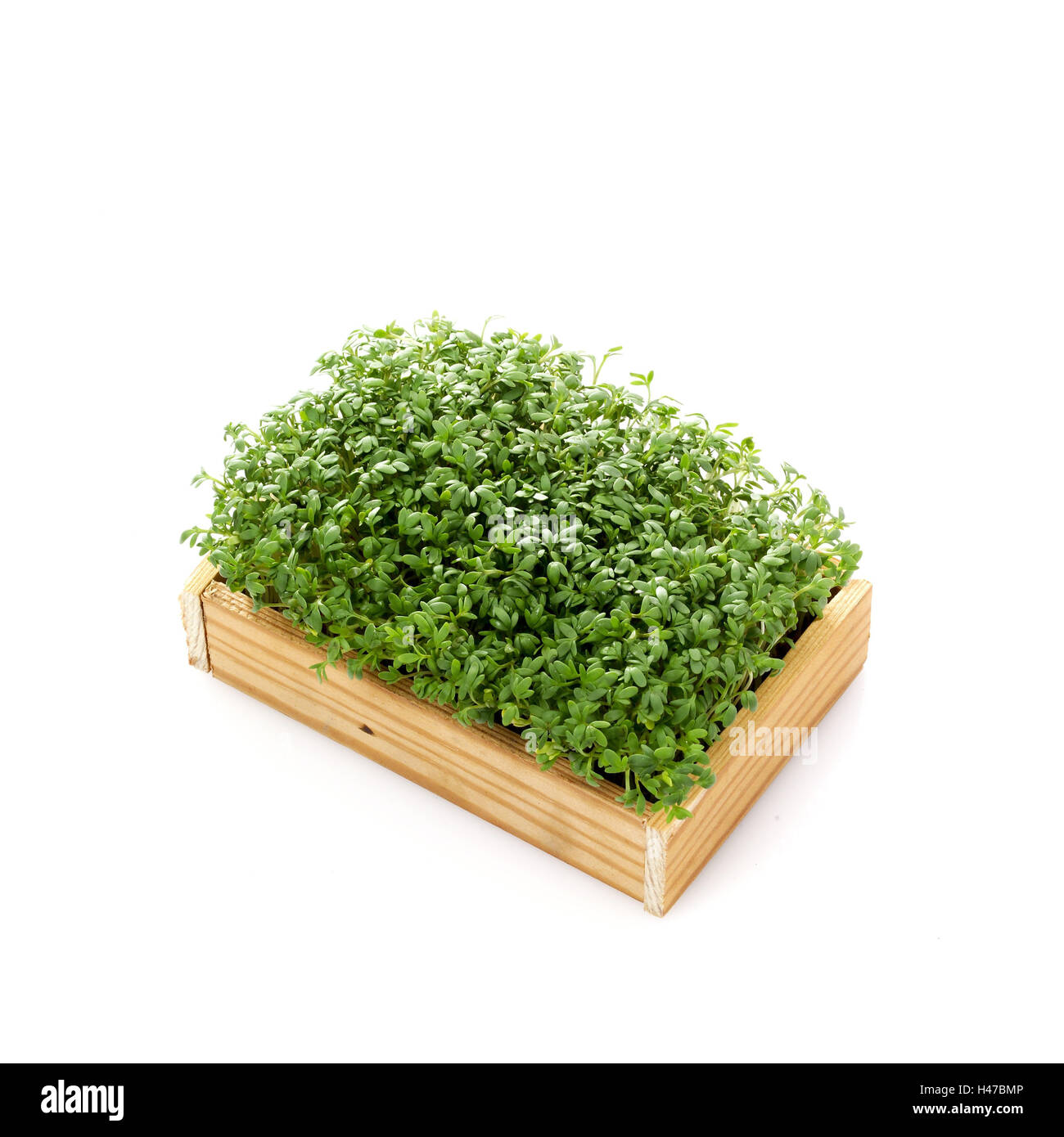 Cut cress hi-res stock photography and images - Alamy