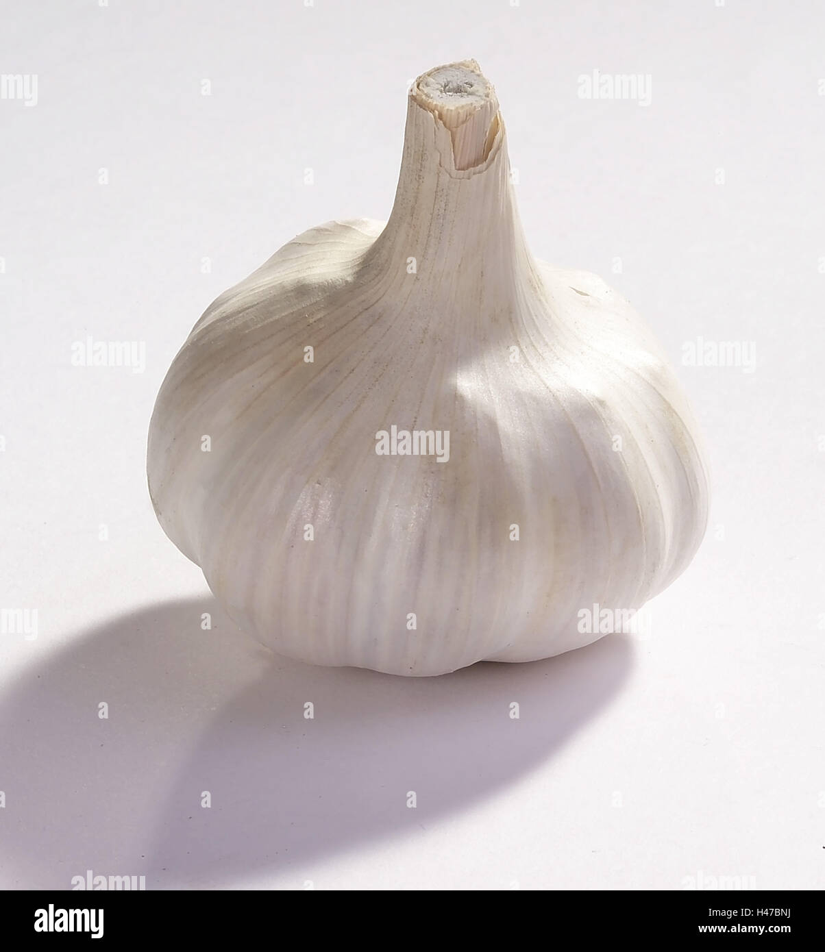 Garlic Nodule High Resolution Stock Photography and Images - Alamy