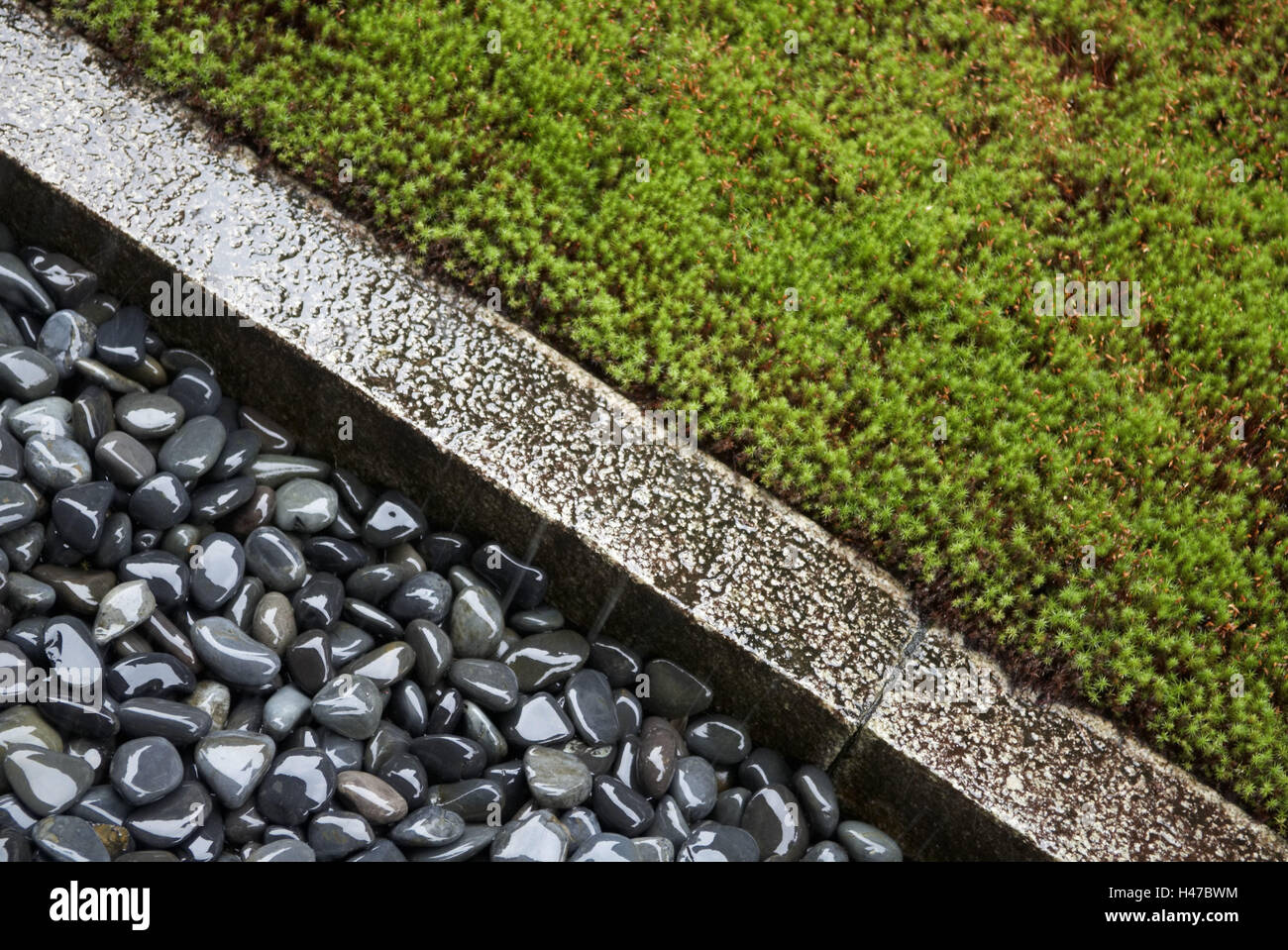 Japanese garden, pebbles, moss, bezel, moisture, grey, green, Japan ...