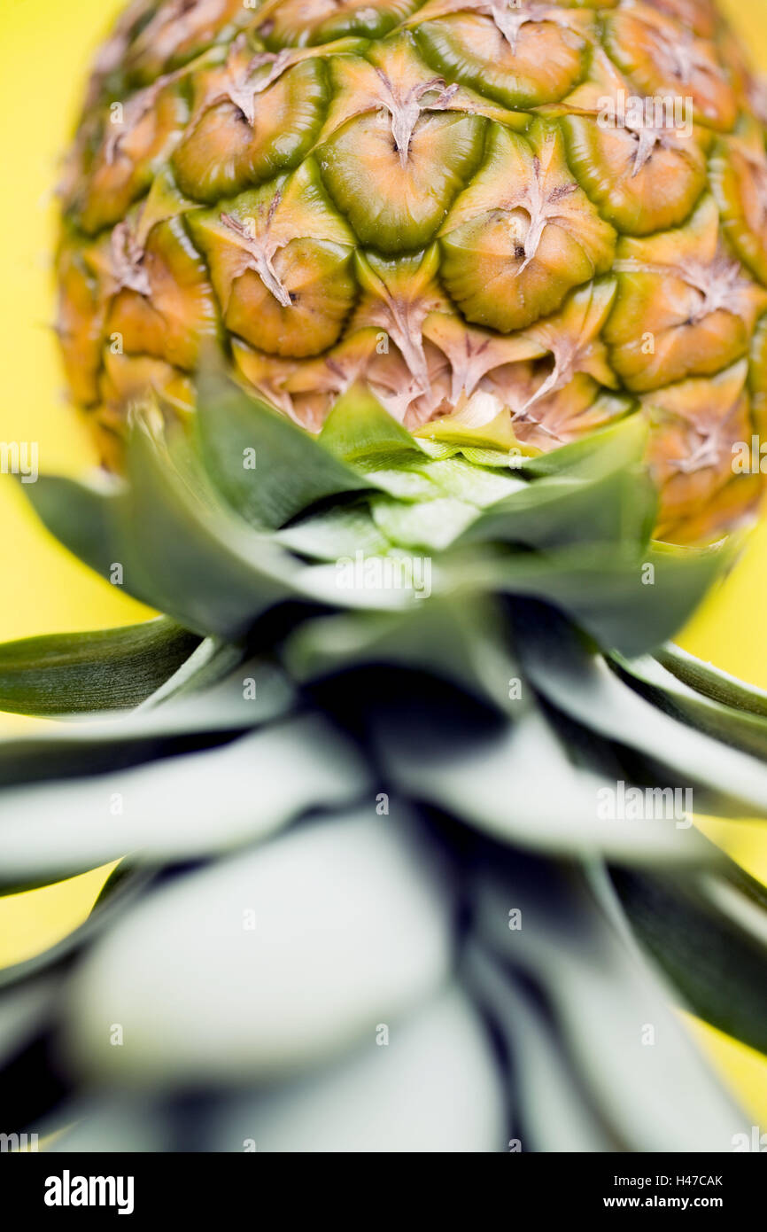 Pineapple, medium close-up, Food, fruit, fruits, tropical fruits ...