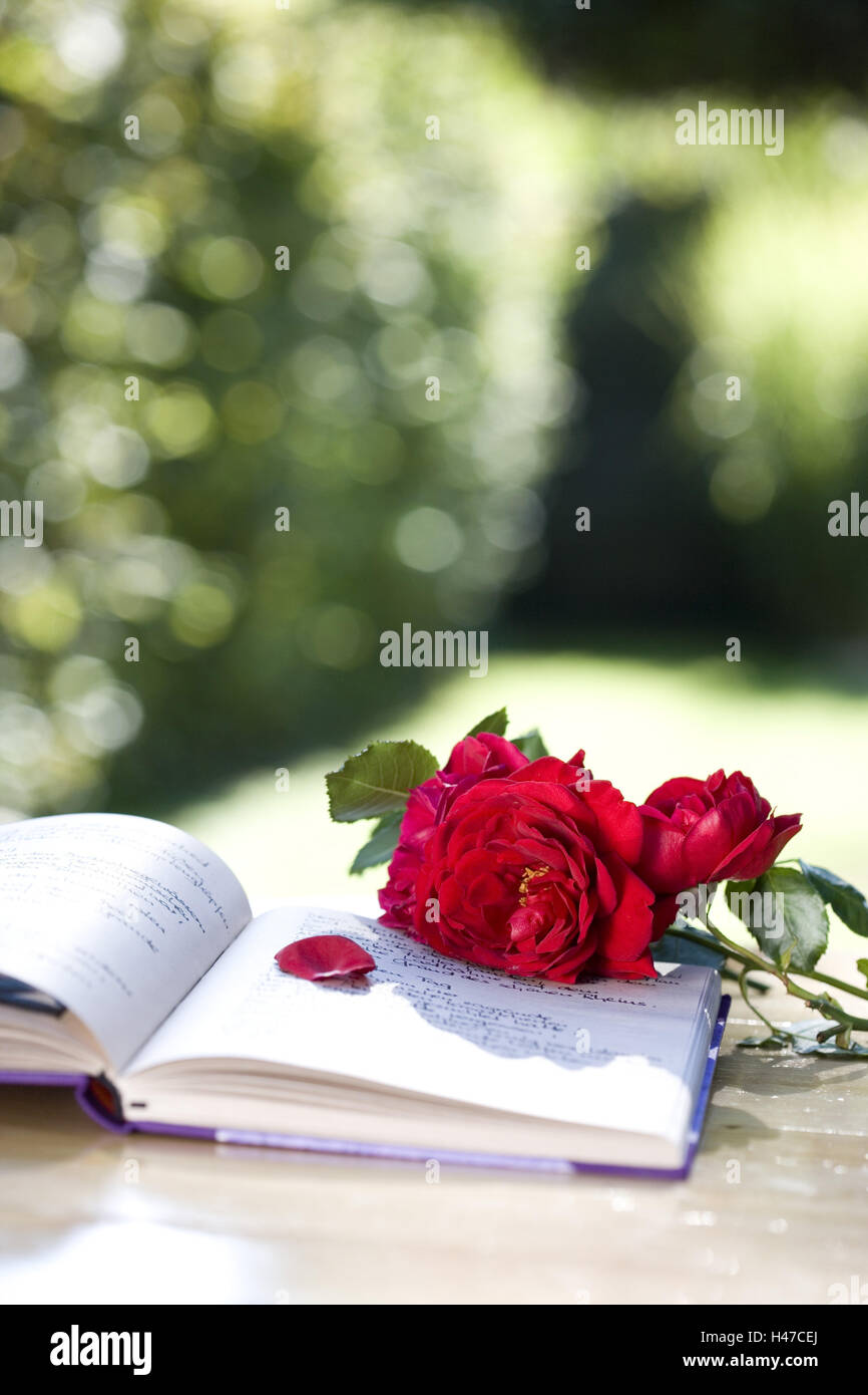 Diary, poetry album, Stilllife Stock Photo - Alamy
