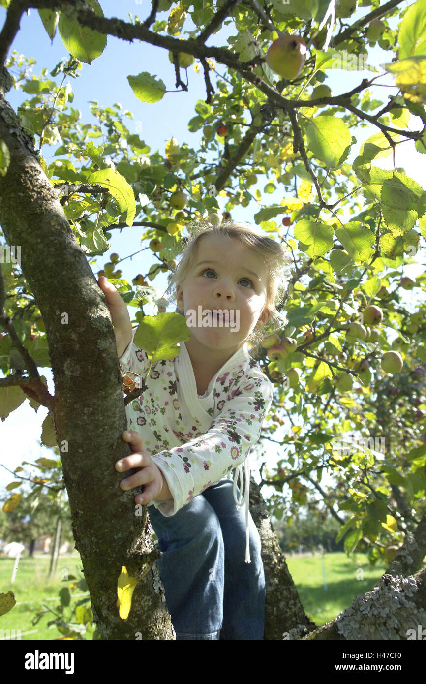 Toddler, tree, climbing Stock Photo - Alamy