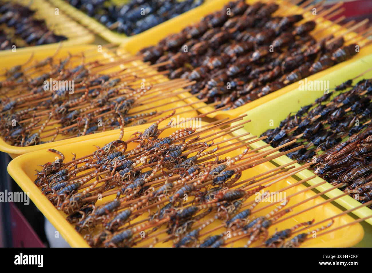 Chinese beetles hi-res stock photography and images - Alamy
