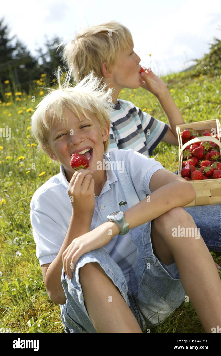 Boys, meadow, strawberries Stock Photo - Alamy