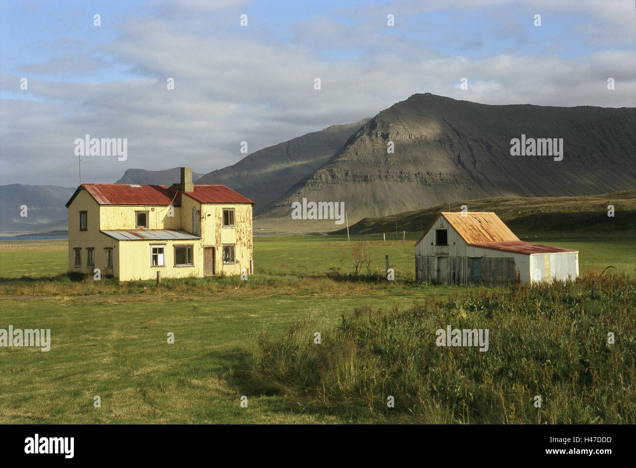 Iceland, west fjords, Holmavik, farm, exit, evening light, summer ...