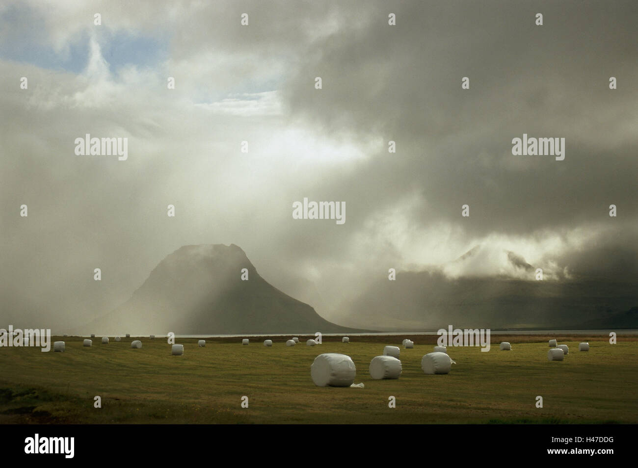 Iceland, peninsula Snaefellsnes, meadows, silo bales, mountain ...