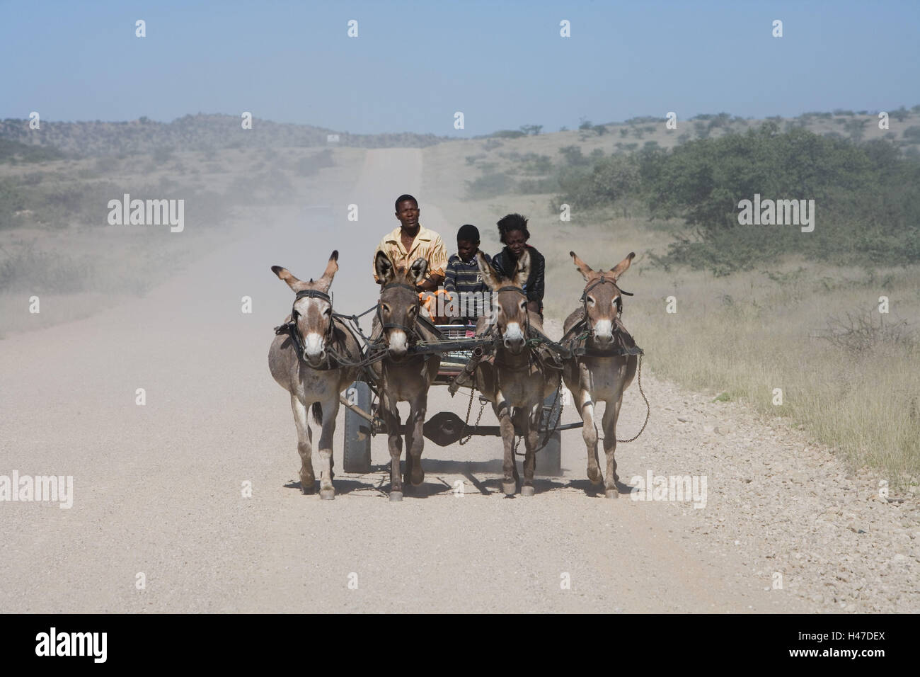 Africa, Namibia, street, person, donkey carts Stock Photo - Alamy