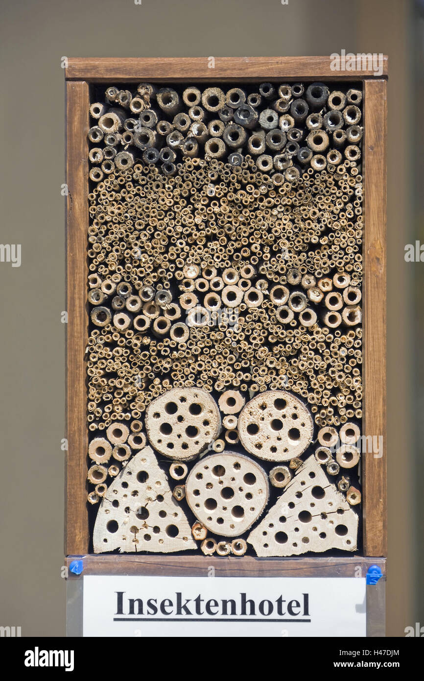 Insect hotel, insects showcase, insect cases, insect asylum, help ...