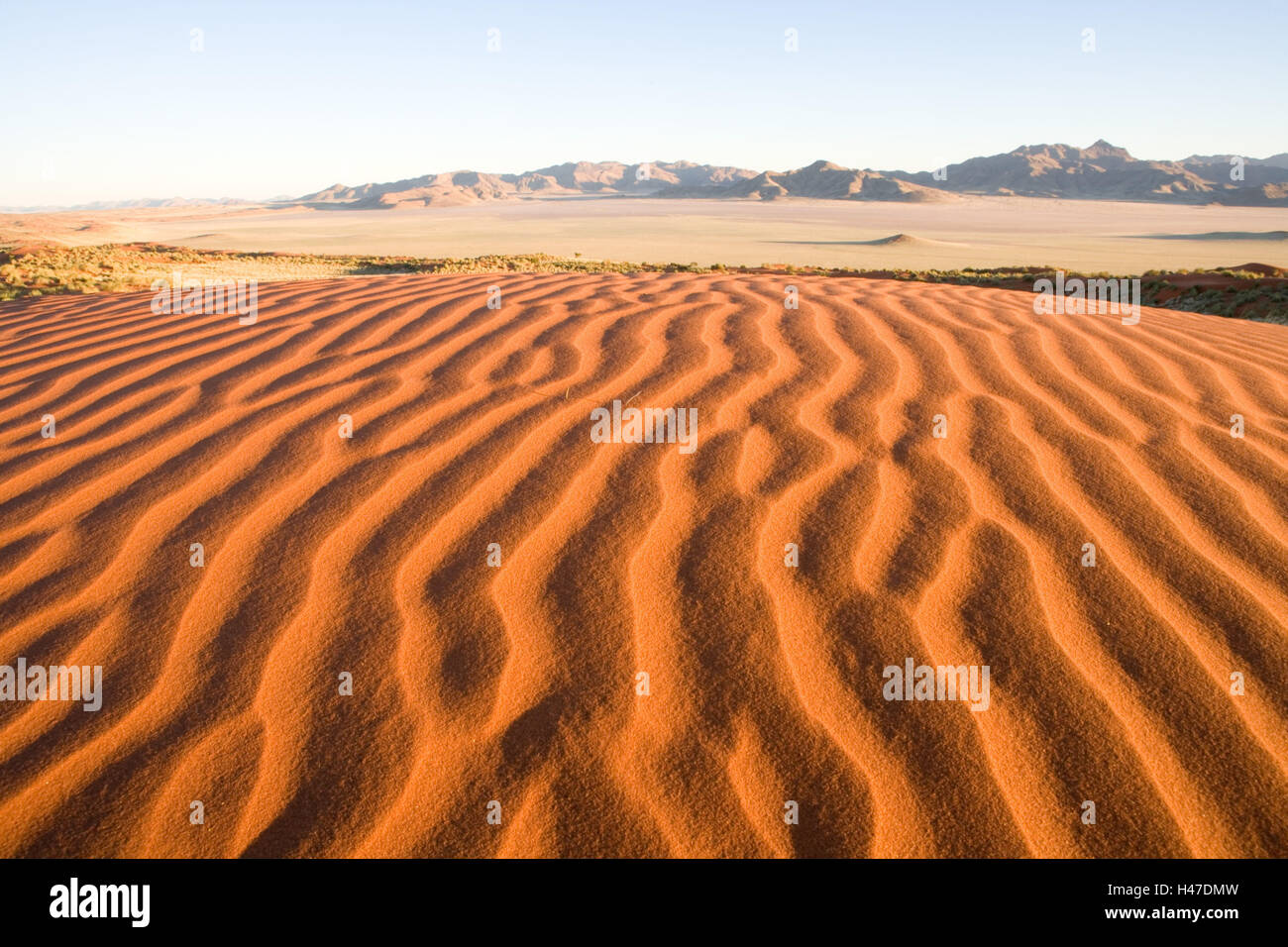Namib margin nature reserve hi-res stock photography and images - Alamy