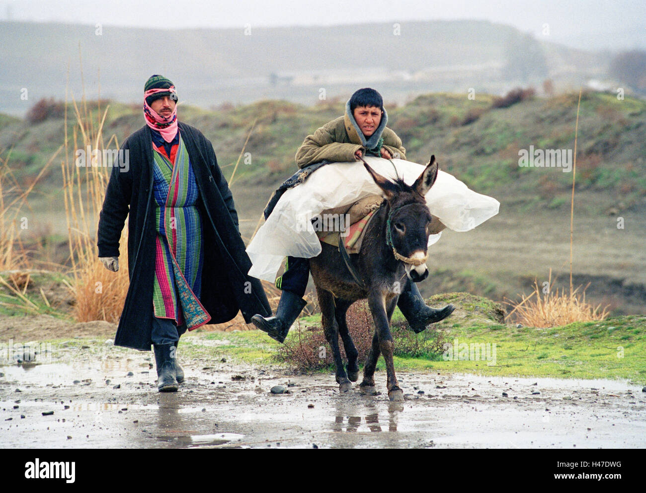 Men Donkeys High Resolution Stock Photography and Images - Alamy