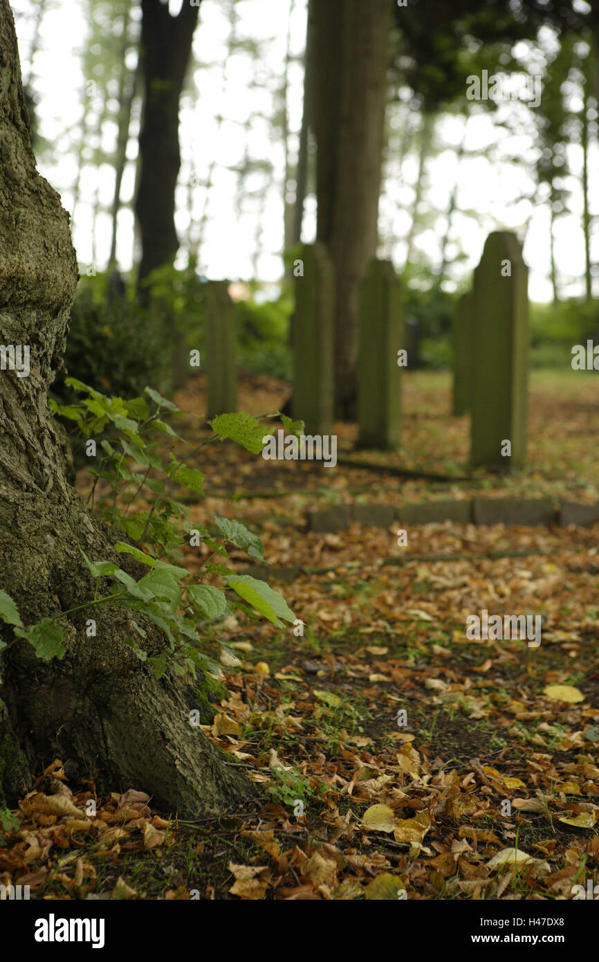 Cemetery, grave small stones Stock Photo - Alamy