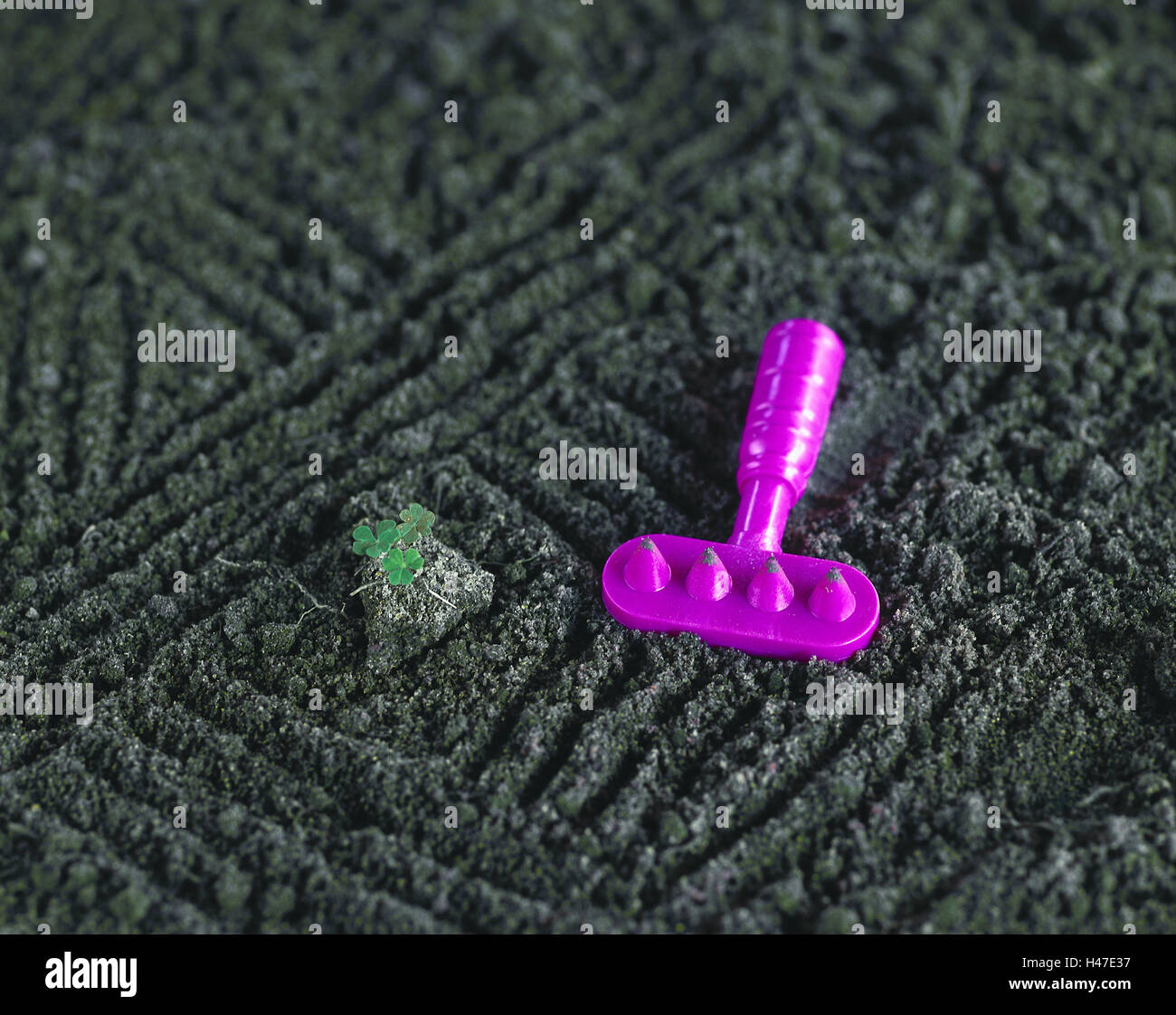 Ground, raked, sample, child rake, cloverleaves, patch, garden mould ...