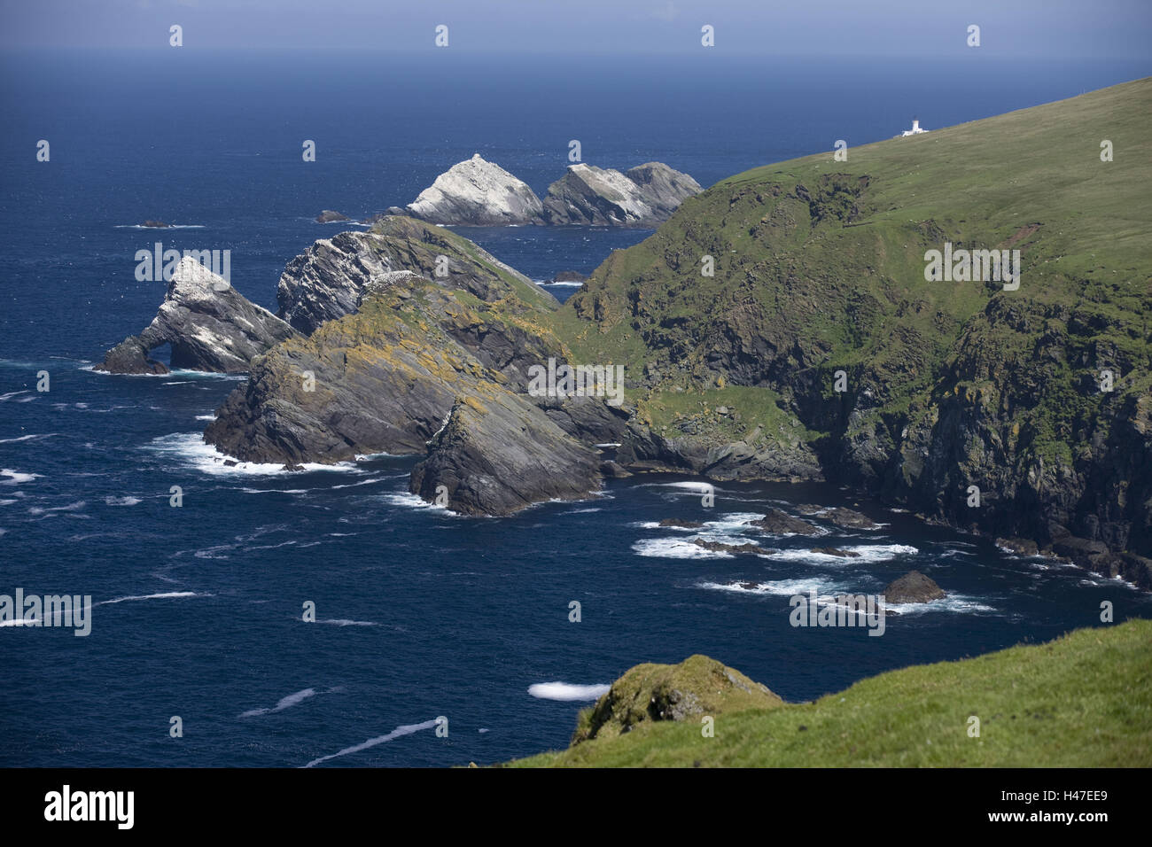 Shetland islands, island Unst, Hermaness, rock Muckle Flugga Stock ...