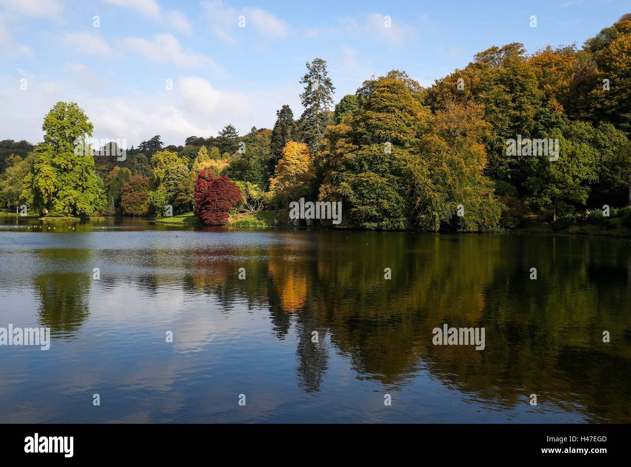 Autumn colours on display stourhead hi-res stock photography and images ...