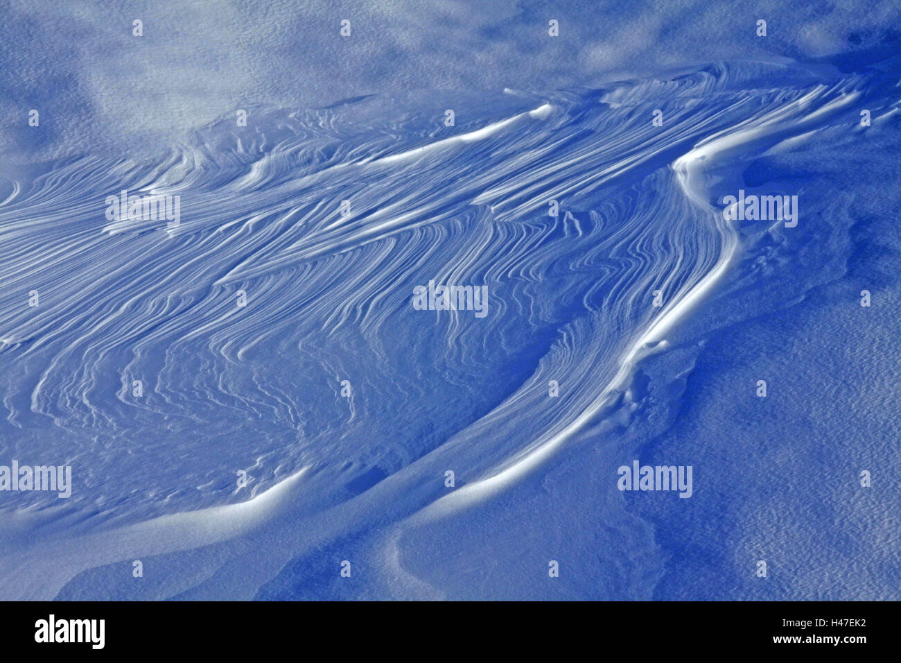 Snow surface, blizzard, winter, snow caps, snowy, snow, snow-covered ...