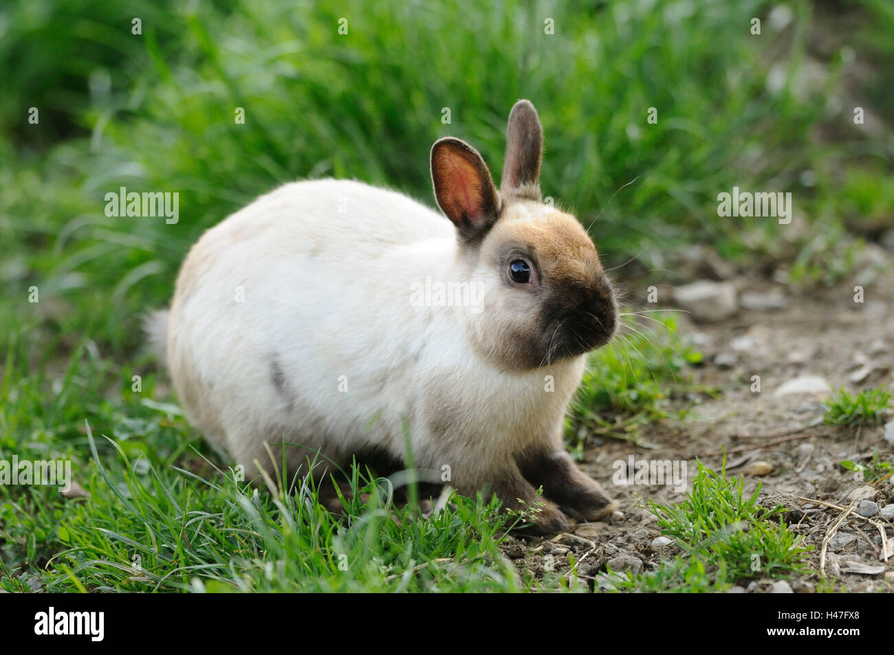 Land forma hi-res stock photography and images - Alamy