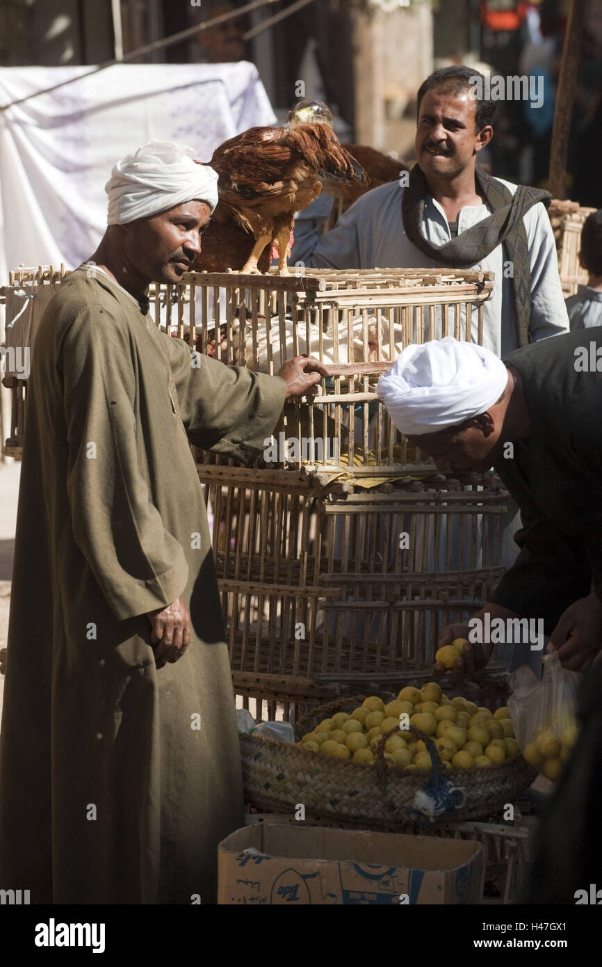 Egypt, Luxor, seller in the Souk Stock Photo - Alamy