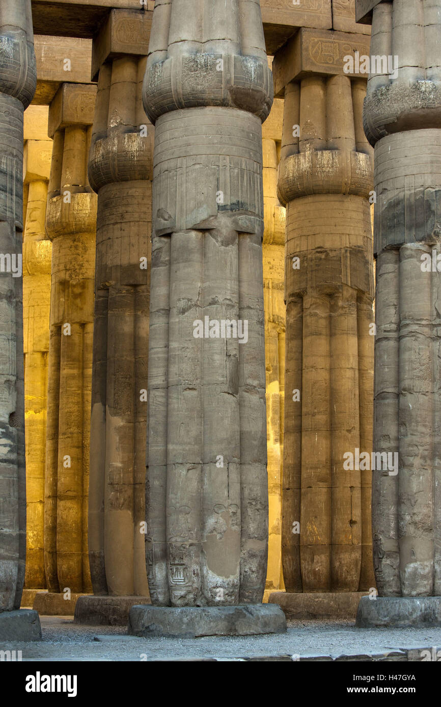 Egypt, Luxor, Luxor temple, portico with papyrus tract pillars Stock ...