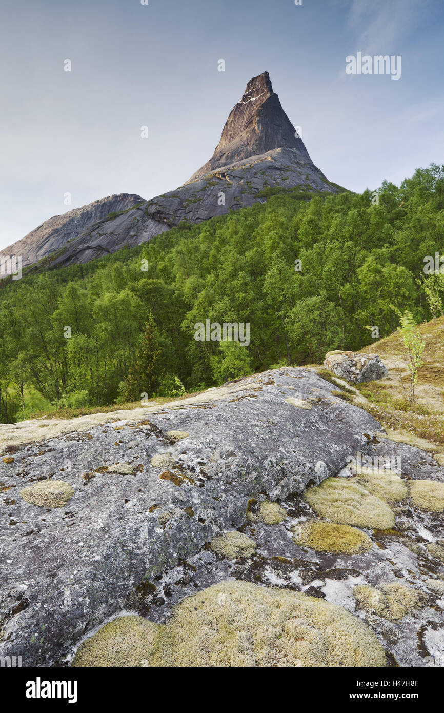 Norway, northern country, Tysfjord, Stetind, mountains, rocks, moss ...