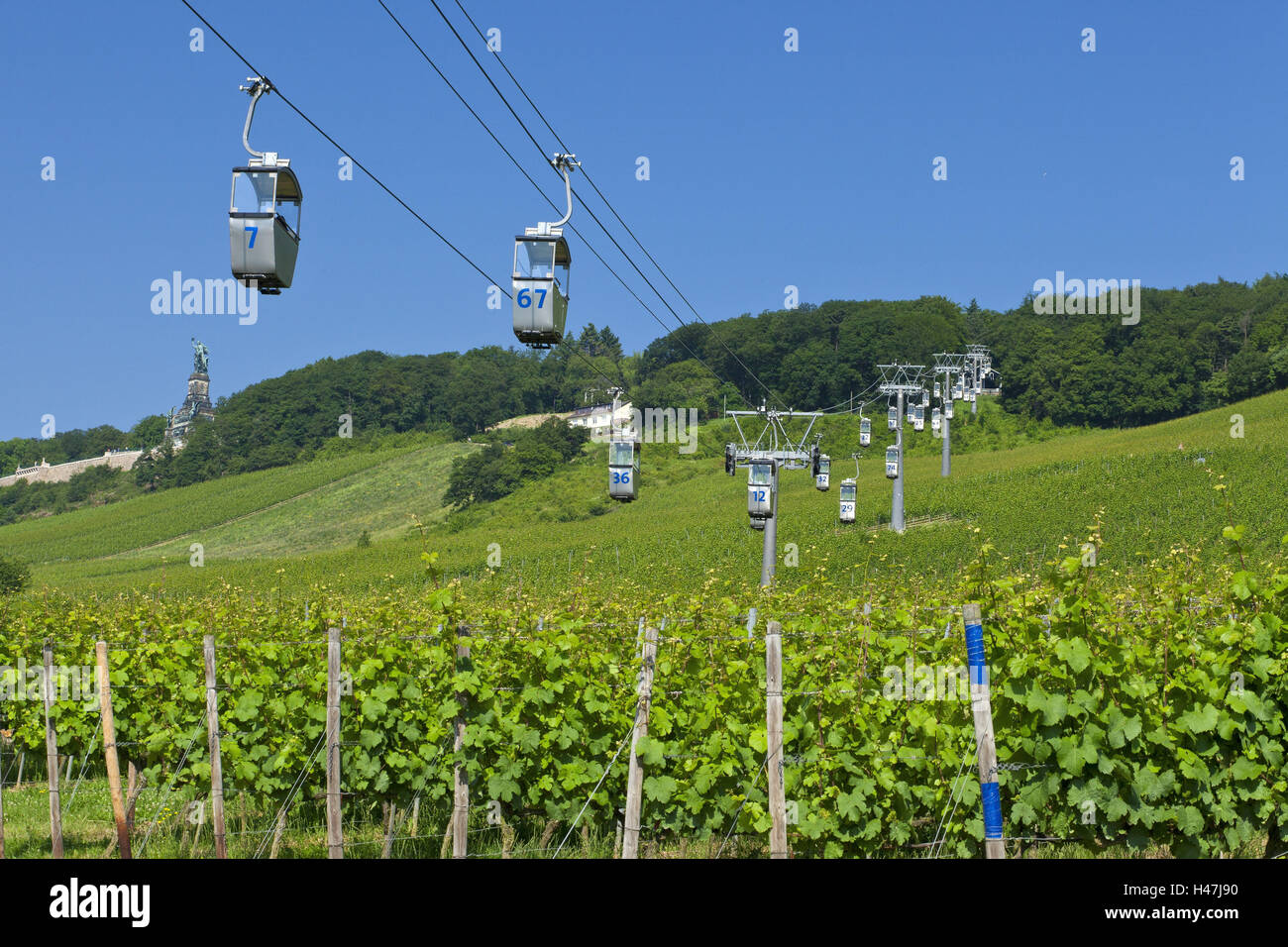 Germany, Hessen, Middle Rhine valley, rough home, copse monument ...