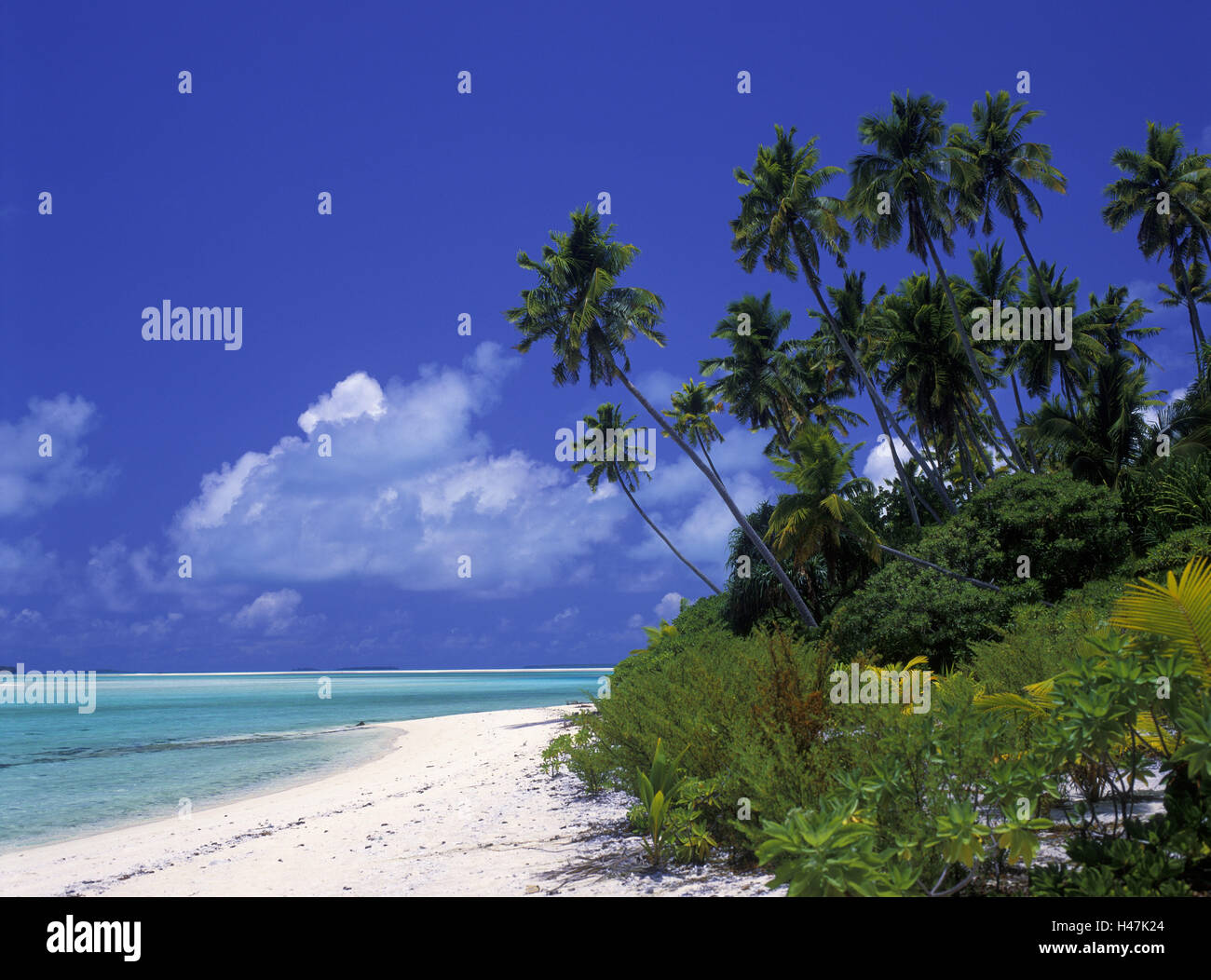 Maina iceland hi-res stock photography and images - Alamy