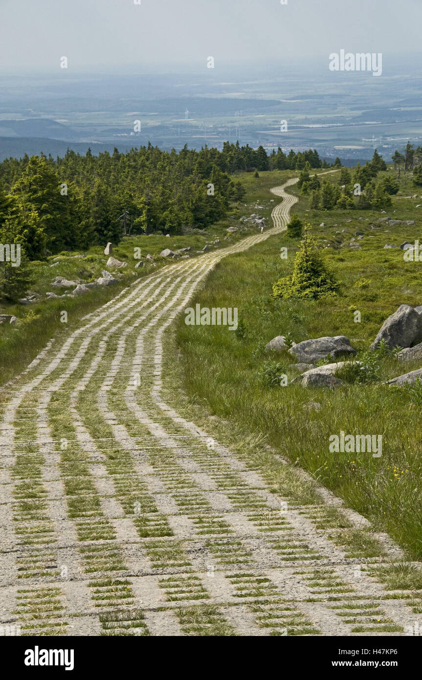 Germany, Saxony-Anhalt, resin, lump, footpath, border way, way, lump ...