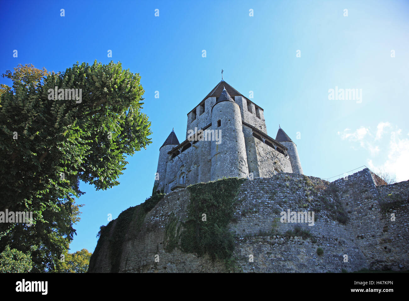 France, Ile-de-France, Provins, tour de Cesar, outside, tower, castle ...