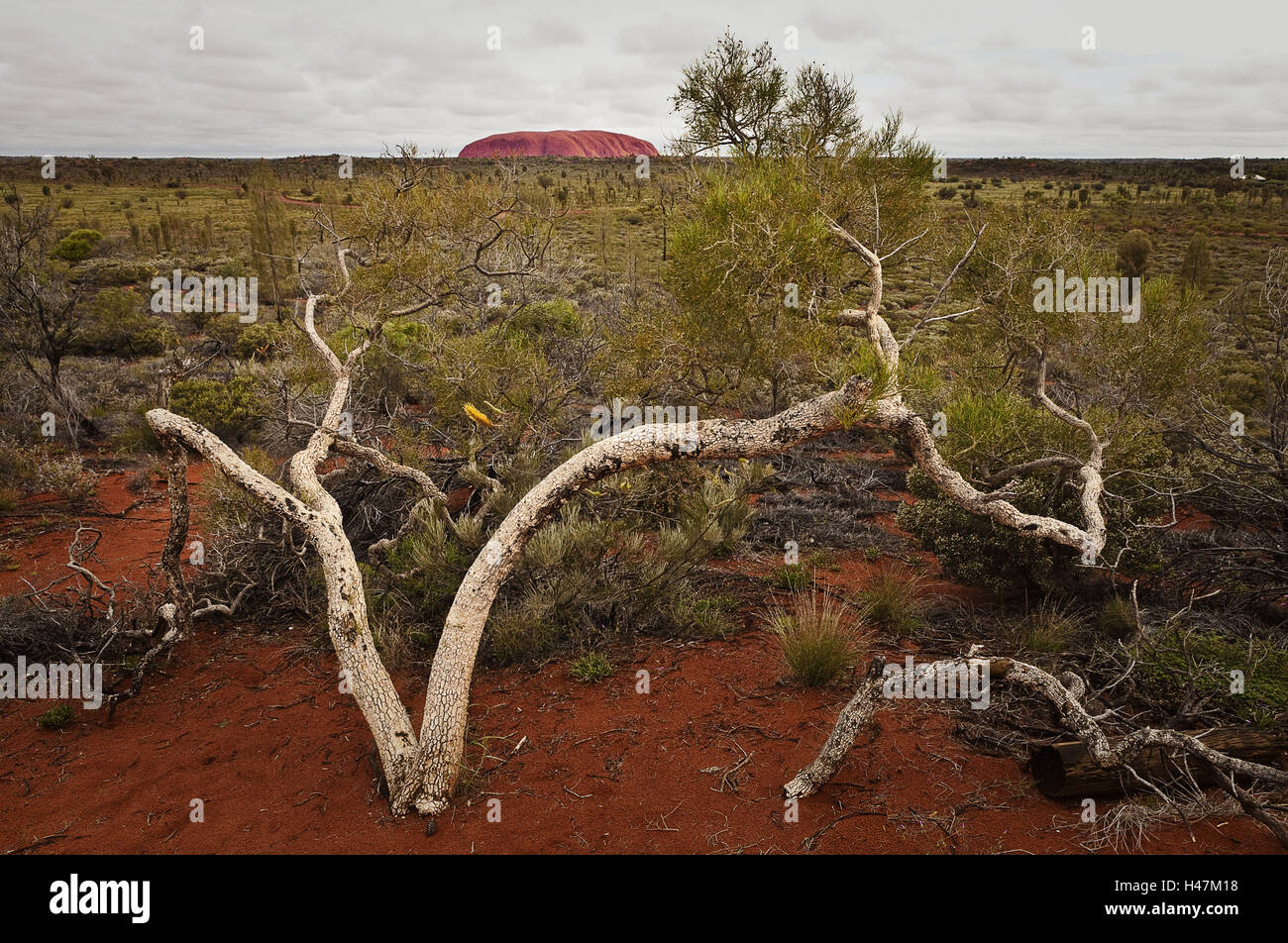 Australia northern territory outback hi-res stock photography and ...