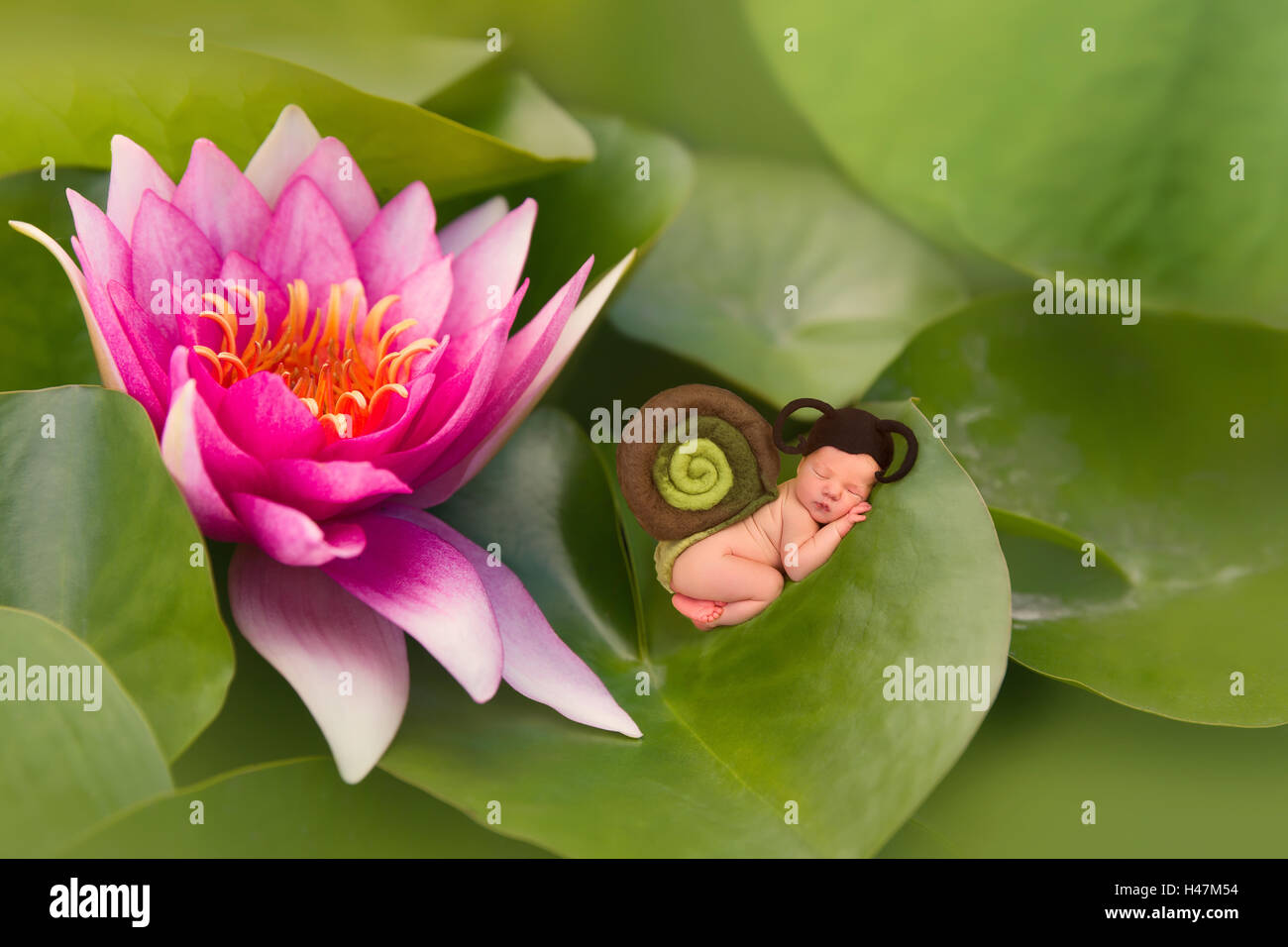 Baby born slug hi-res stock photography and images - Alamy
