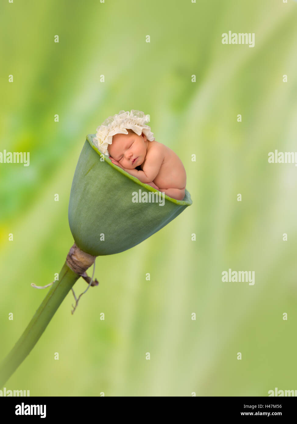 Adorable baby sleeping inside a lotus pod against a natural green ...