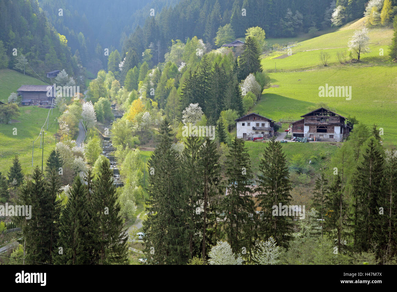 Farms trees hi-res stock photography and images - Alamy