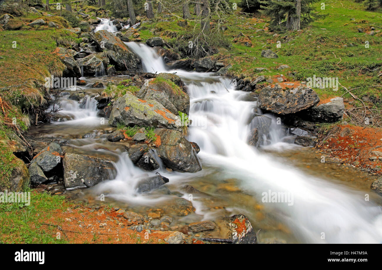 Rocky wood hi-res stock photography and images - Alamy