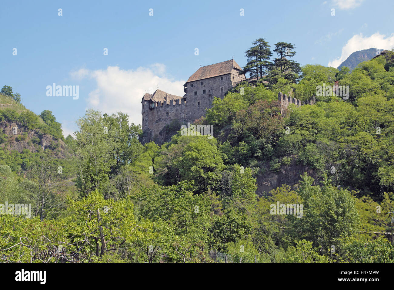 Italy, South Tyrol, castle Runkelstein, mountain wood, Sarntal, alp ...