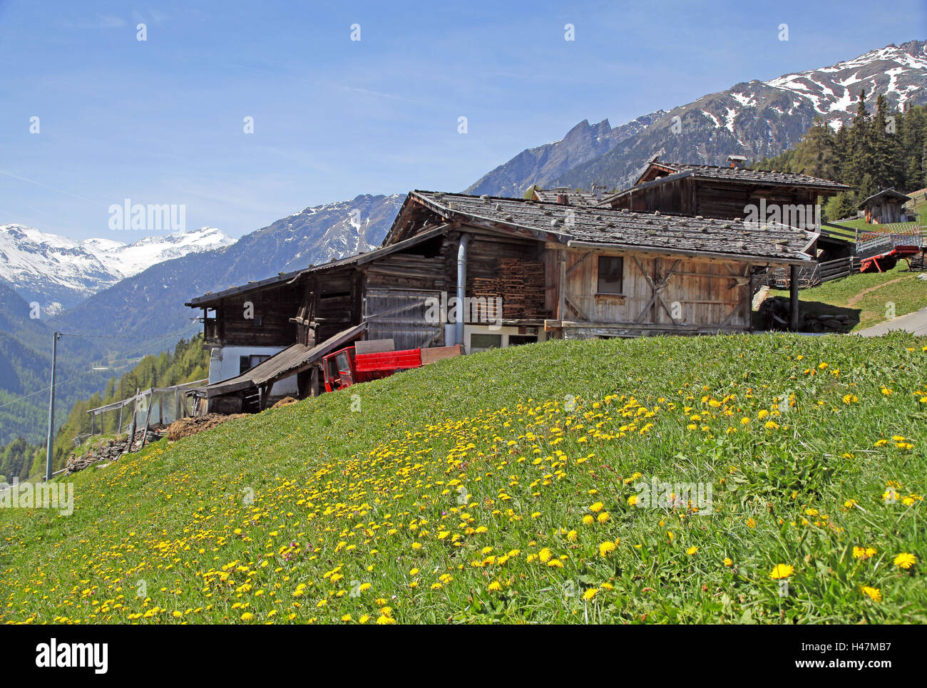 Mountain farm in the steep slope in South Tyrol Stock Photo - Alamy