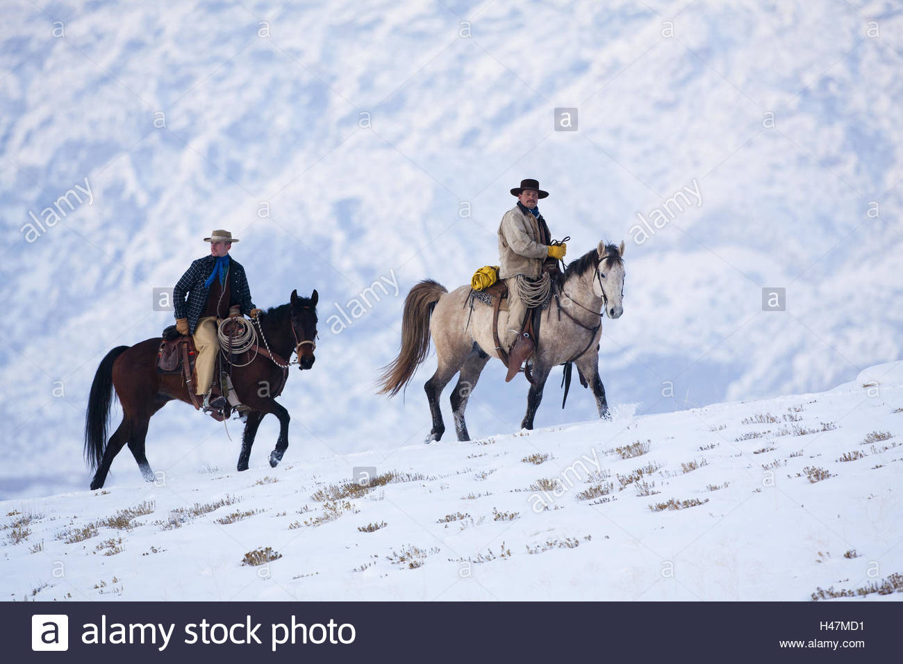 Two Cowboys Riding Horses Stock Photos & Two Cowboys Riding Horses ...