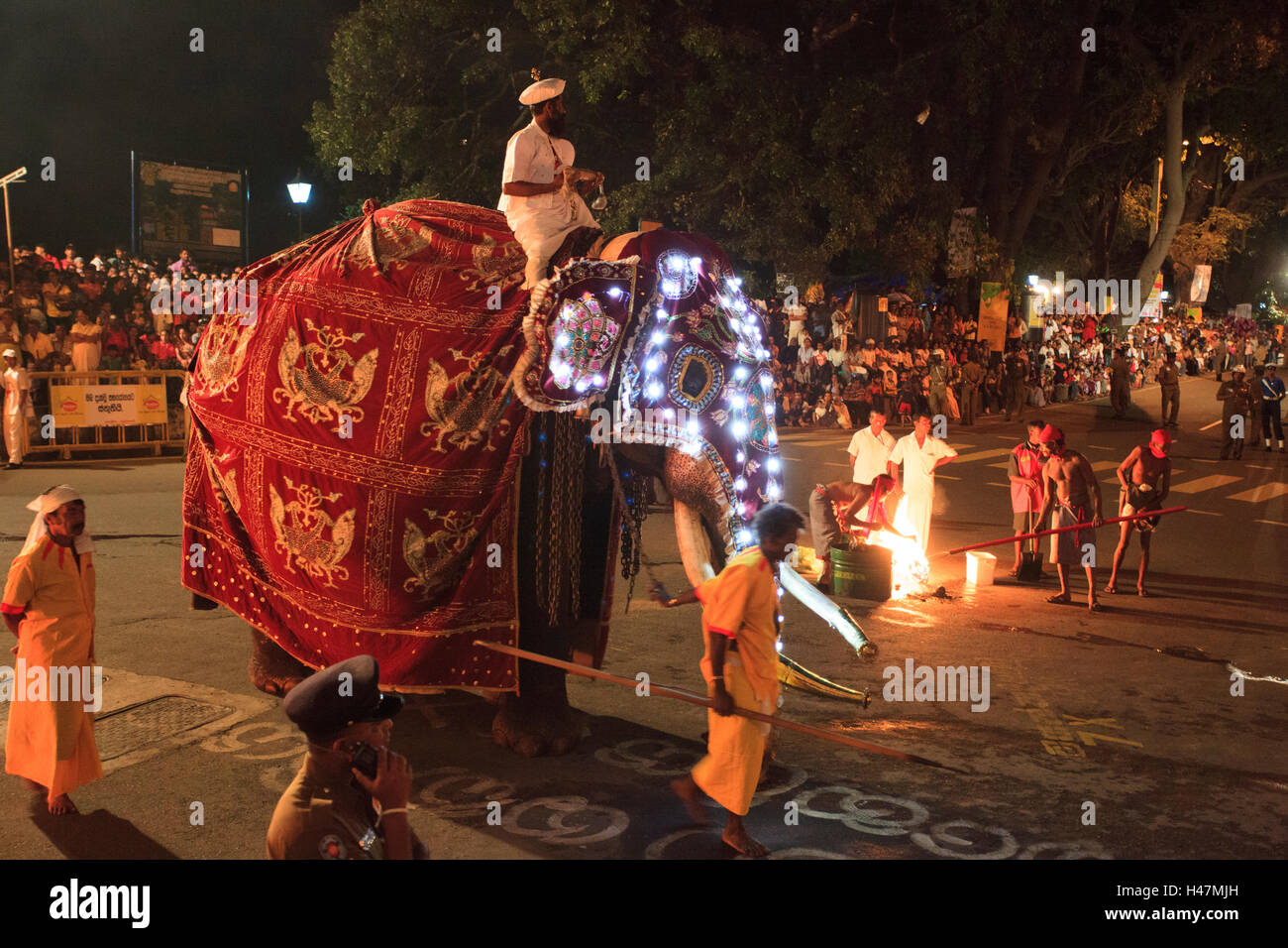 Elephants taking part in the Esala Perahera in Kandy Sri Lanka. This ...