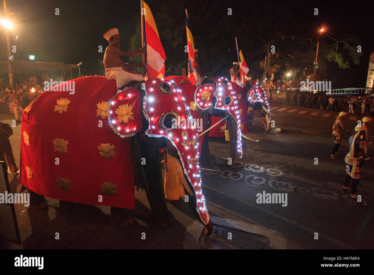 Elephants taking part in the Esala Perahera in Kandy Sri Lanka. This ...