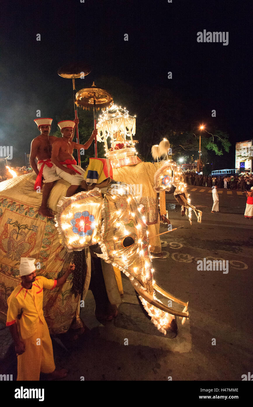 Elephants taking part in the Esala Perahera in Kandy Sri Lanka. This ...