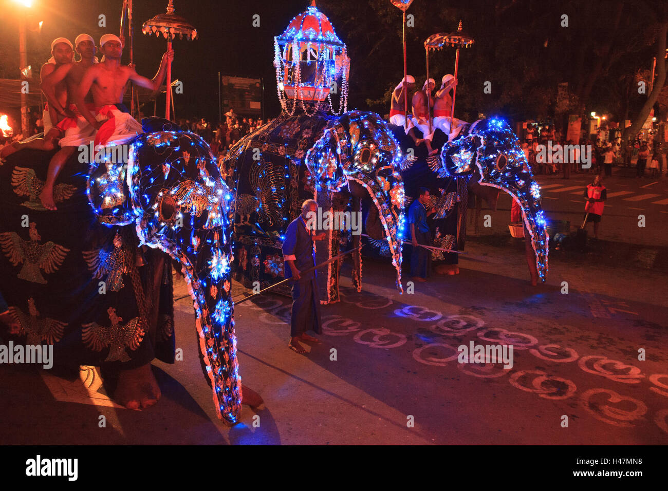 Elephants taking part in the Esala Perahera in Kandy Sri Lanka. This ...