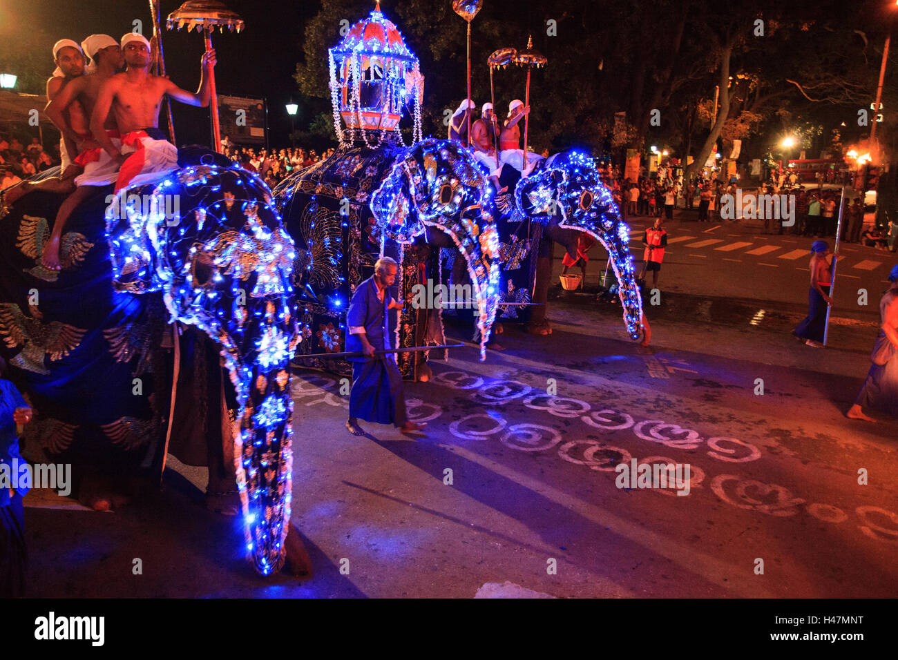 Elephants taking part in the Esala Perahera in Kandy Sri Lanka. This ...